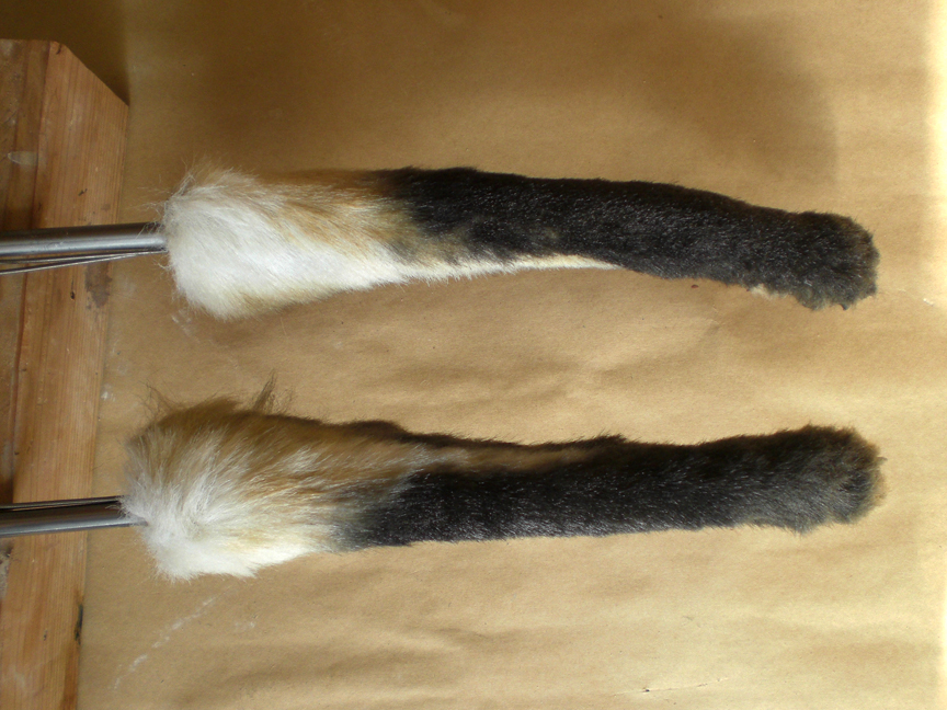 FOX ARMS | anatomorphex