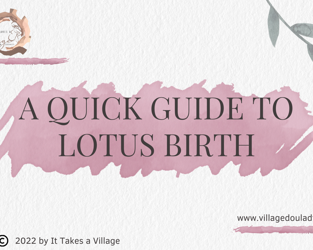 Lotus Birth 101 | It Takes a Village