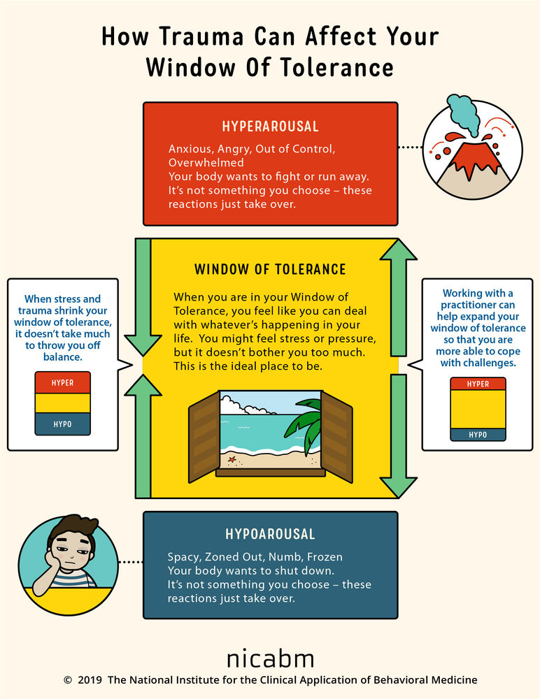 What is the Window of Tolerance?