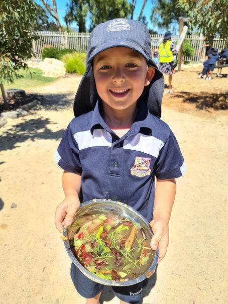 Blog | Prescott Primary Northern | Page 16 of 22