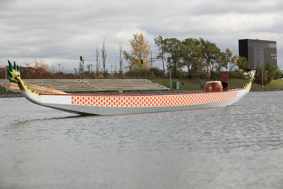 Dragon boat for sale | Dragon boat paddle | Champion Dragon boat