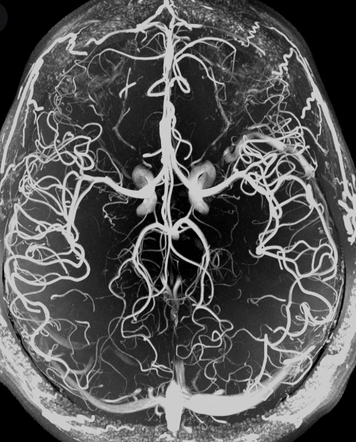 Ayden Jacob | Radiology and Economics