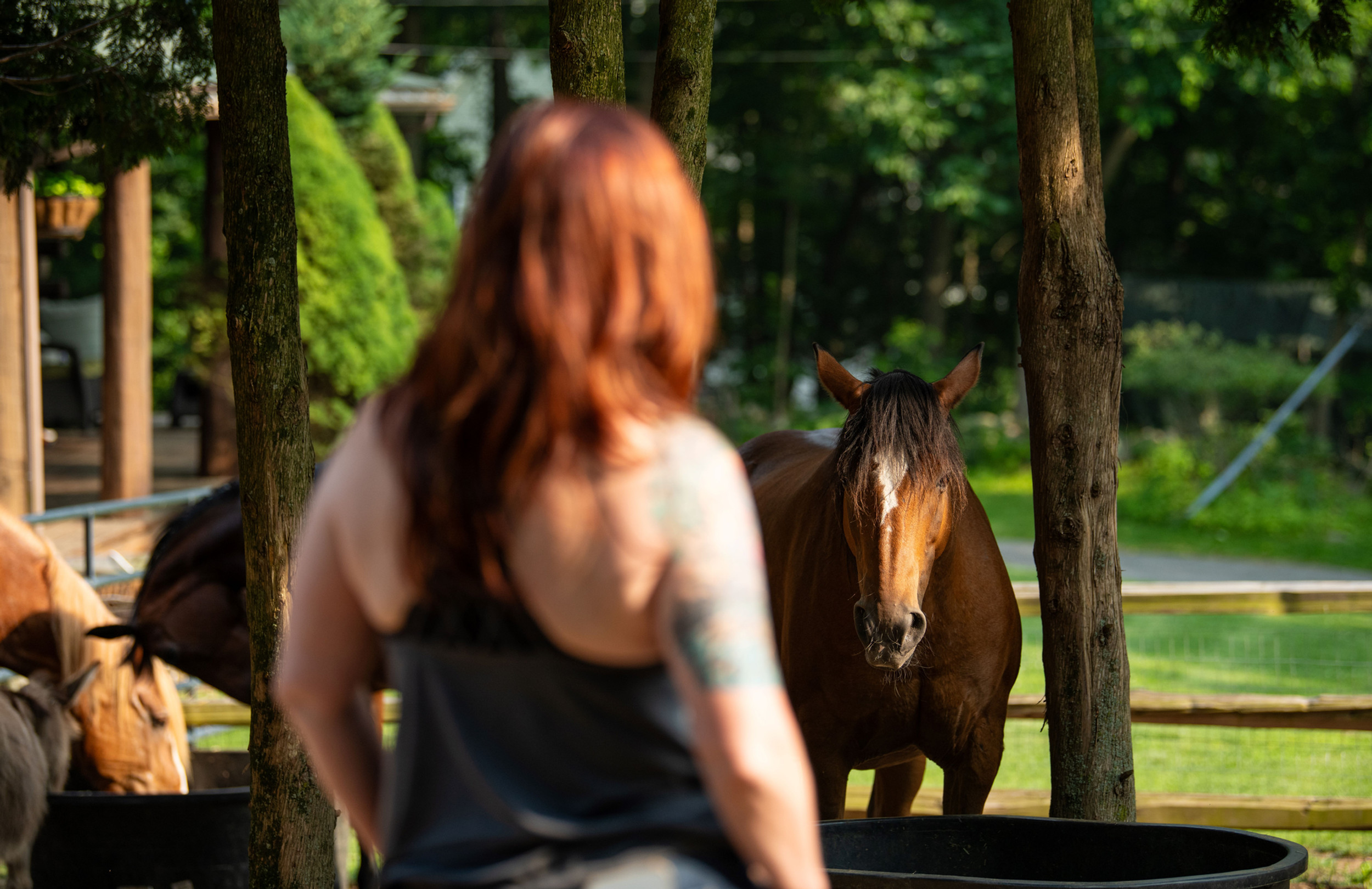 Private Coaching | Equi Evolution