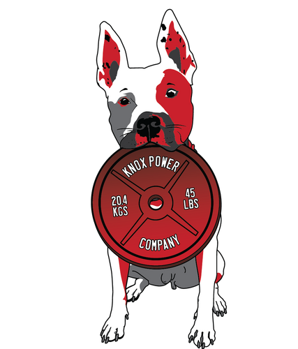 Get ready to Strict Curl Program Beginner | Knox Power Company