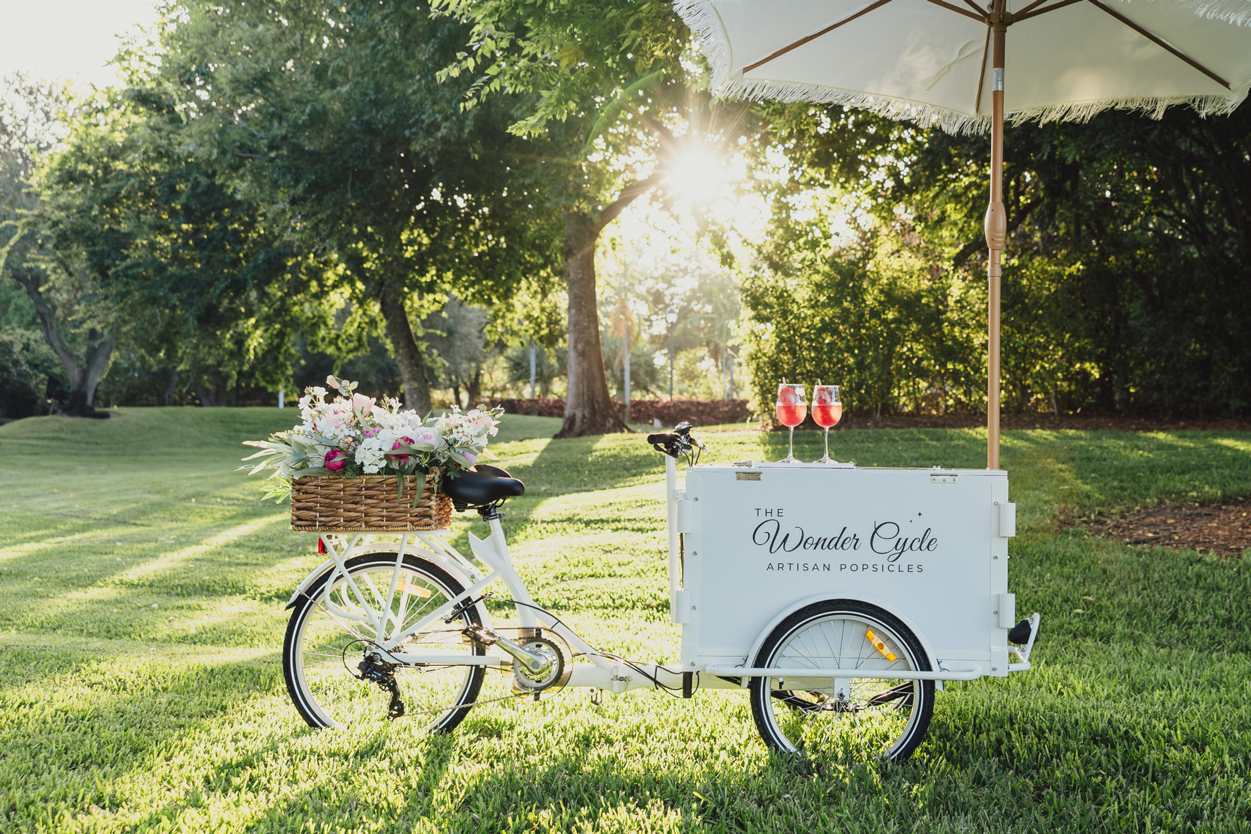 Our Popsicle Flavors | The Wonder Cycle in South Florida