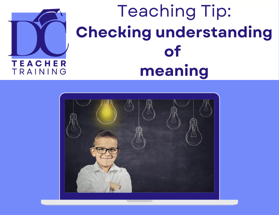 Checking students' understanding of meaning