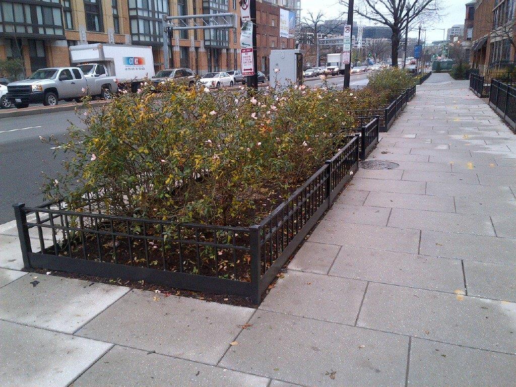 City Ornamental Iron | Tree & Flower Boxes