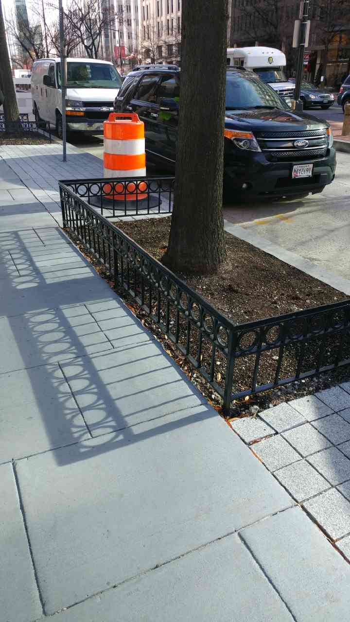 City Ornamental Iron | Tree & Flower Boxes