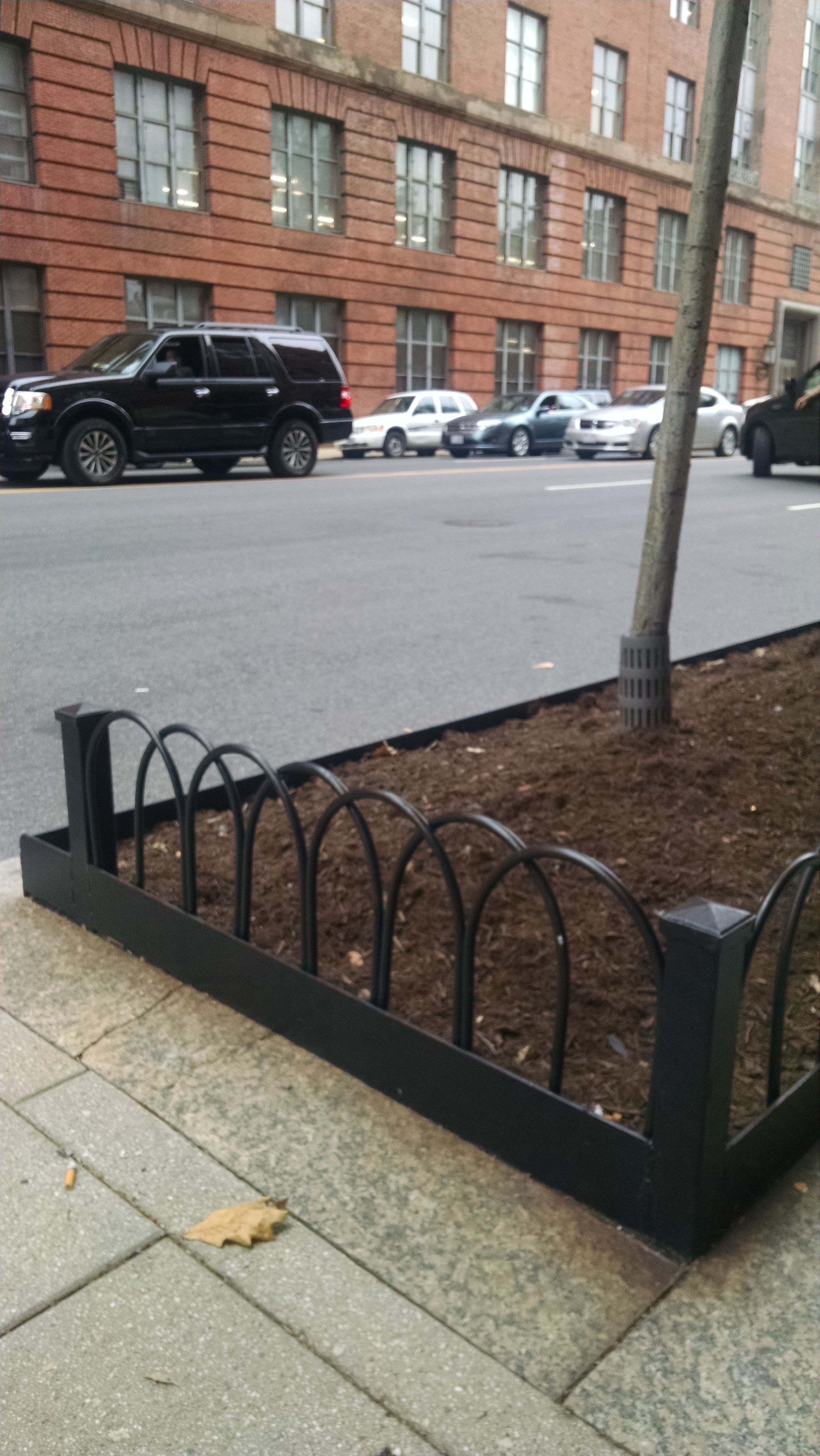 City Ornamental Iron | Tree & Flower Boxes
