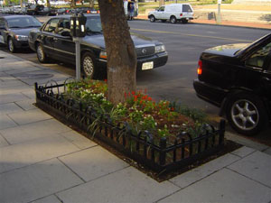 City Ornamental Iron | Tree & Flower Boxes