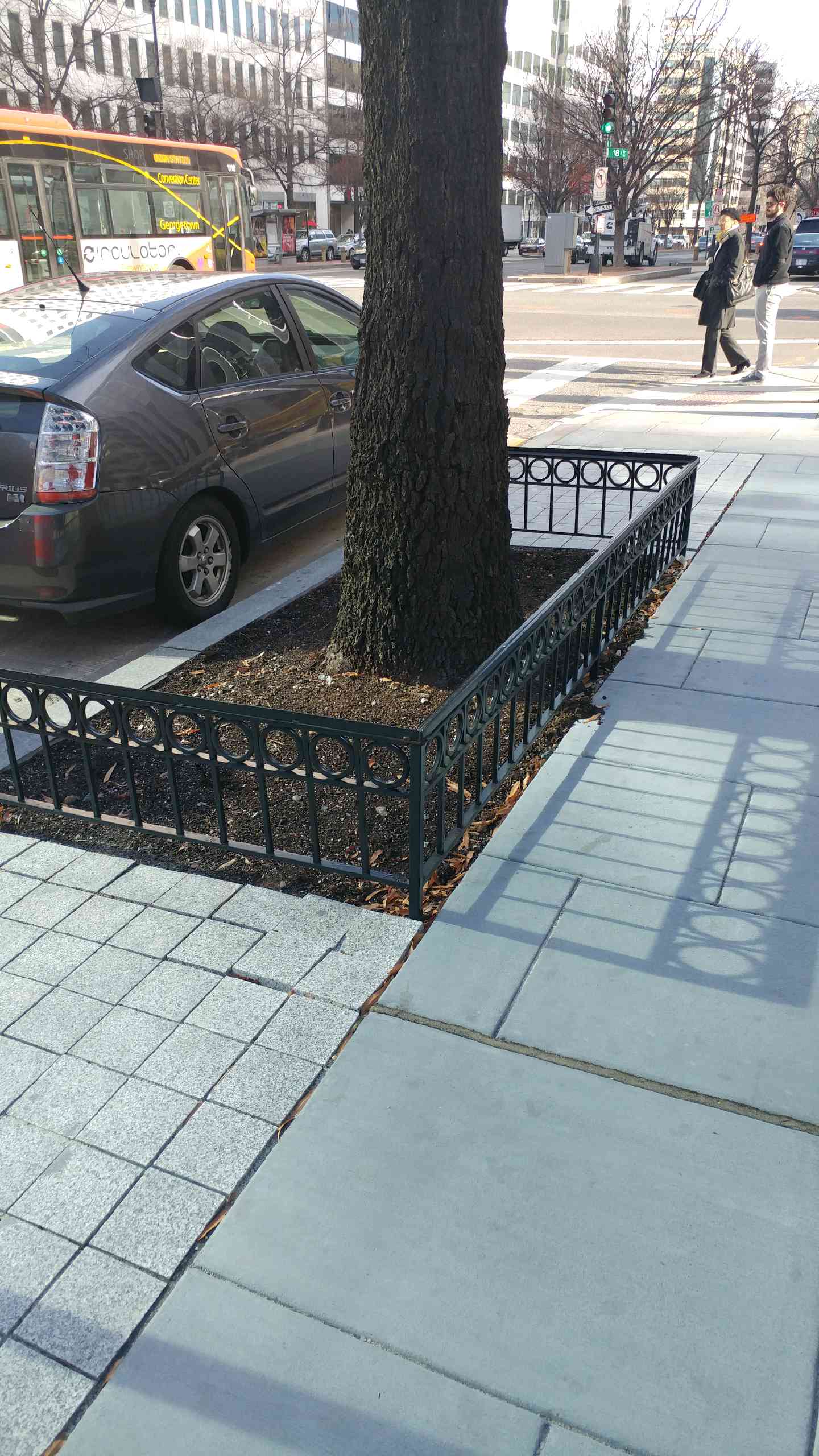 City Ornamental Iron | Tree & Flower Boxes