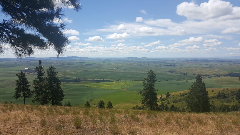 About | Colfax, Washington | United States