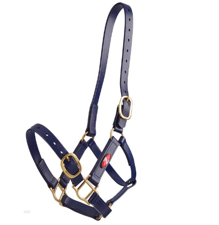 Zilco Halter PN | Morrisons Saddlery