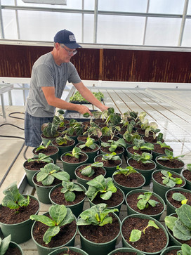 PLANTS | Boring Rose Brewing