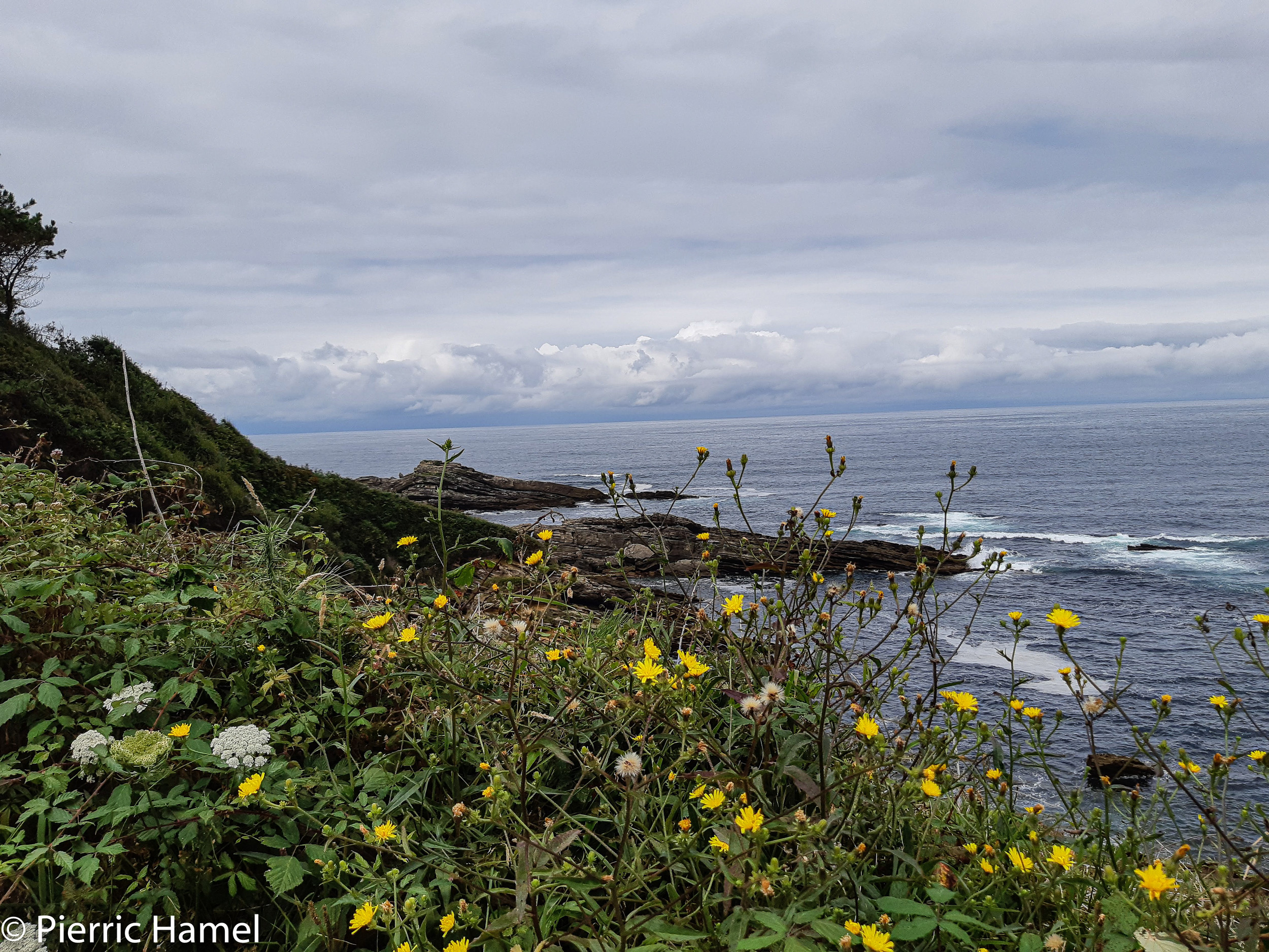 Voyages | Pierric Hamel