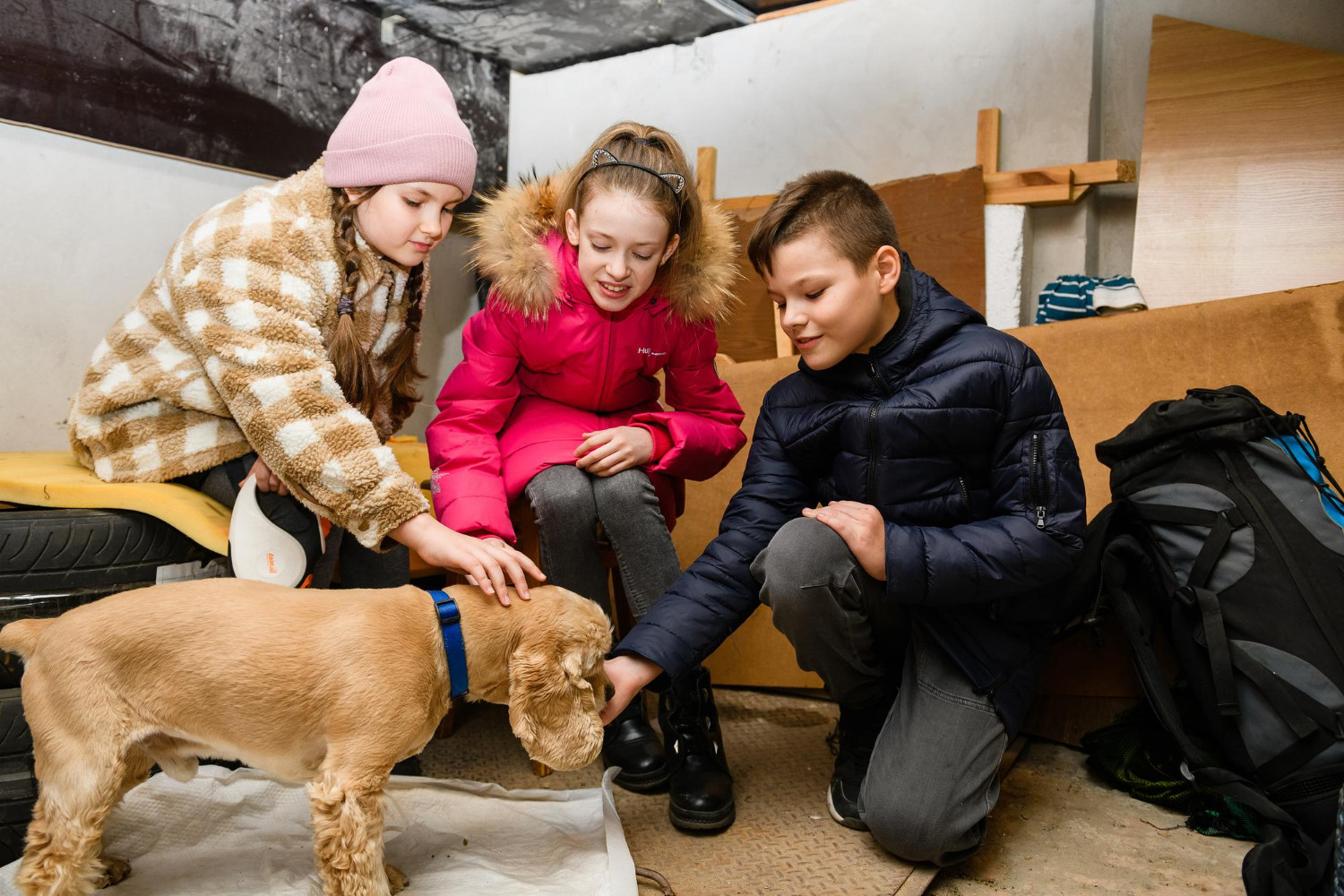 Helping Animals | CFSW Ukraine