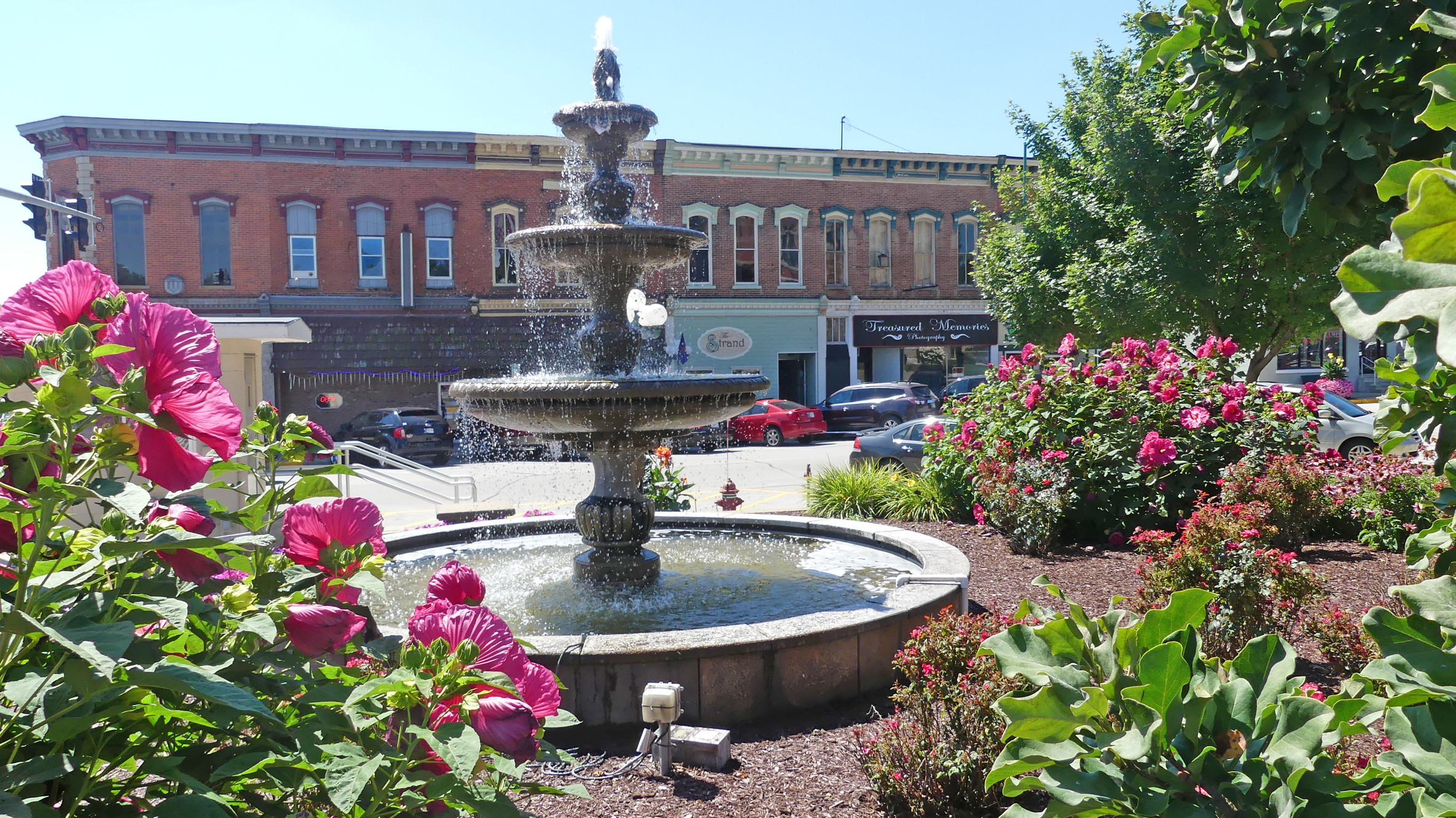 Downtown Development | Albion STAR Team