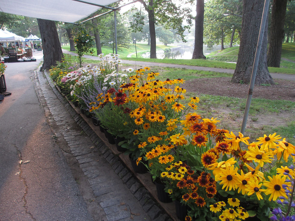 Plants grown in Maine | snell-family-farm