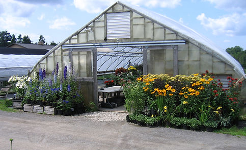 flowers and food grown in Maine | snell-family-farm