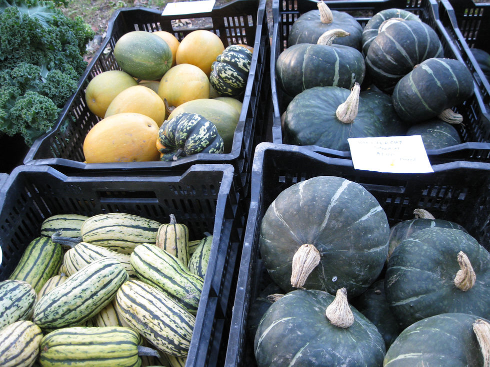 local food grown in Maine | snell-family-farm