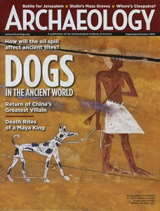 Gran Danés: Su Origen e Historia, todo acerca de la raza