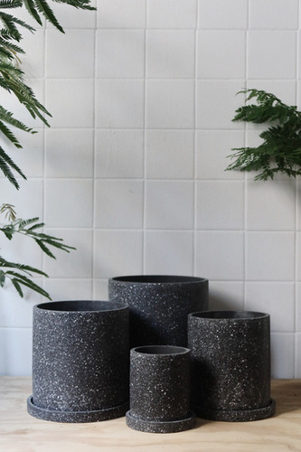 MOTT Terrazzo Pot | thenursery.sg