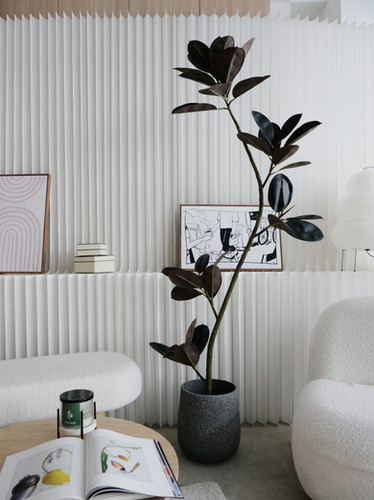 Faux Ficus Elastica Burgundy Bending (1.8M) in GALAXY Premium Terrazzo ...