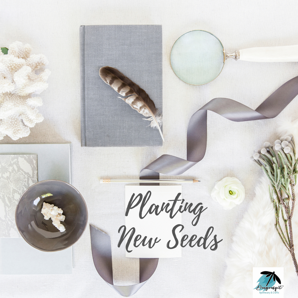 Planting New Seeds