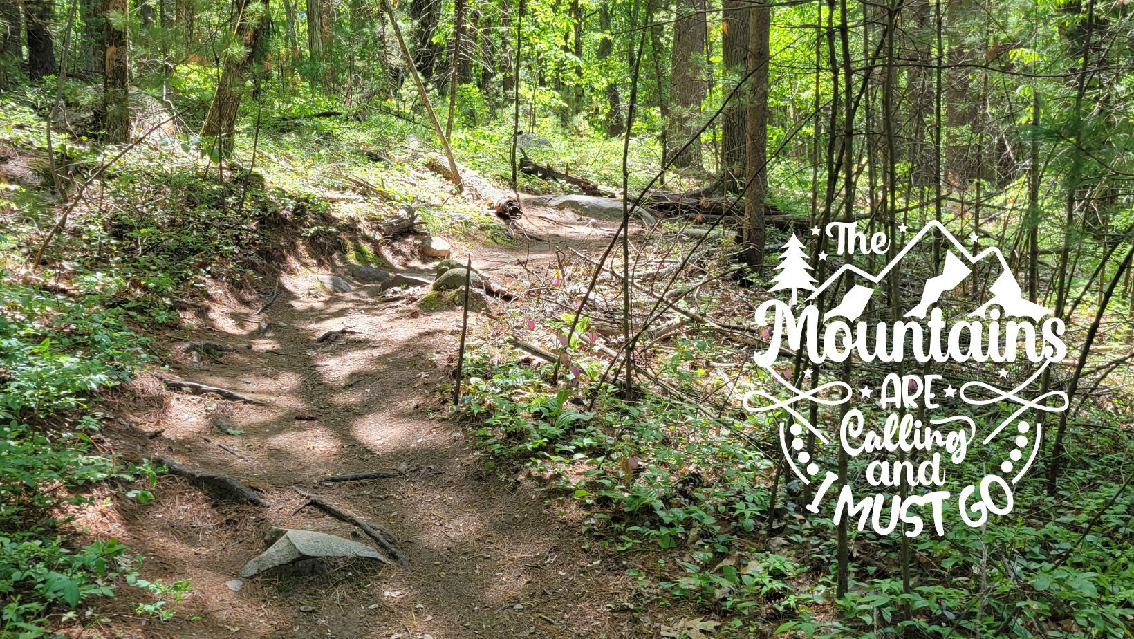 Uphill vs. Downhill: Hiking and Energy