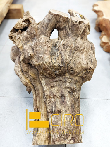 Acacia root burl #1 | Ciro Store