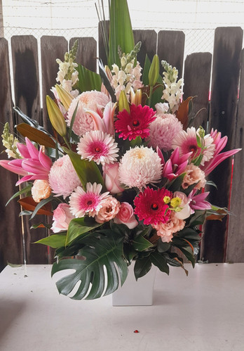 Winter Power Puff | Warringah Florist | Manly Vale