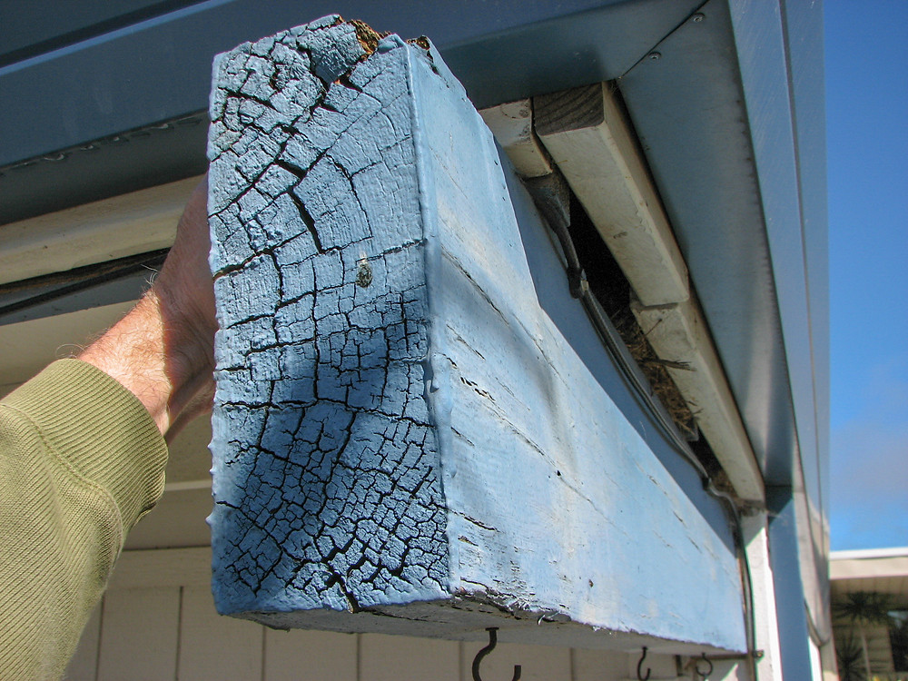 Spottin’ the Rotten: understanding the nature of roof beam dry rot