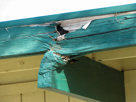 Roof Beam Failure | The Aftermath Of Dry Rot | The Beam Guy