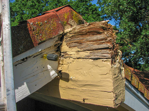 FAQ | Roof Beam Dry Rot Repair | The Beam Guy