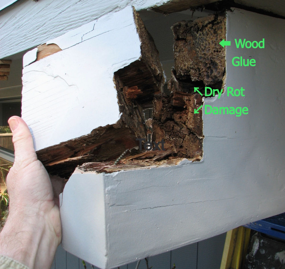 Exterior Beam Repair | Dry Rot Damage