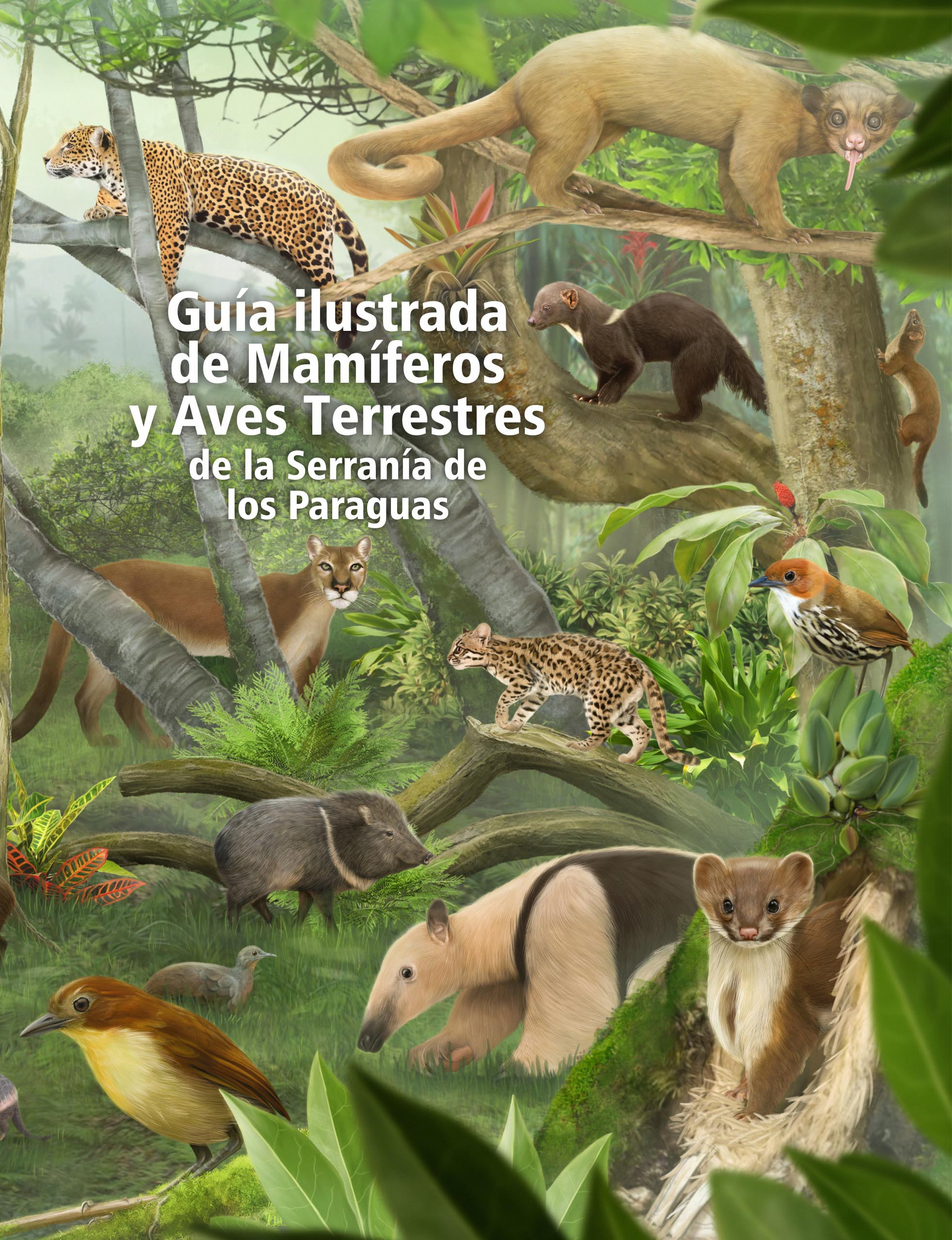 GUIA ILUSTRADA DE MAMIFEROS Y AVES TERRESTRES DE LA SERRANIA DE LOS ...