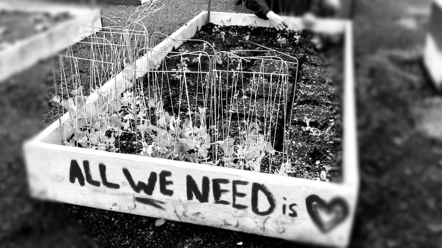 Growing Your Own Food: A Path to Self-Sufficiency
