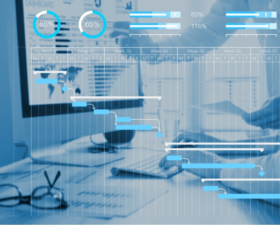 Platinum Level Support | Triton Exchange