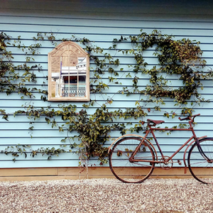 ARCHITECTURAL PROJECTS | Scott Ede Design Portfolio