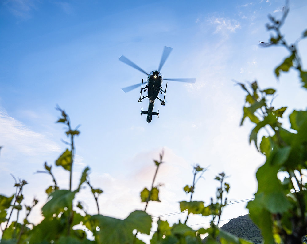Why Do Growers Use Helicopters For Frost Fighting In Central Otago?
