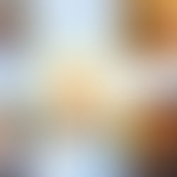 The Picture Book Buzz - Interview with Serena Gingold Allen and Teagan White