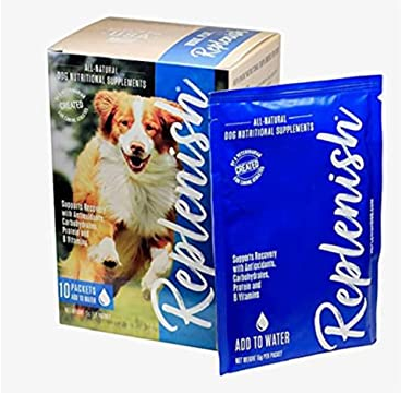 Replenish Dog Recovery Water Supplement | ACES Chiro School