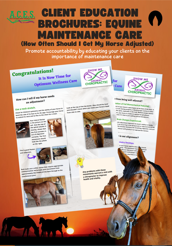 Client Educational Brochure: Equine Maintenance Care | ACES Chiro School