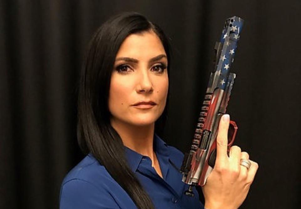 Dear NRA Spokeswoman Dana Loesch, I Have a Question I'd Like To Ask.
