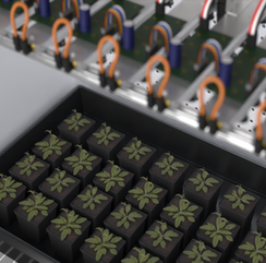 Dynamic Environment Photosynthesis Imager (DEPI) | PhotosynQ