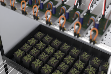 Dynamic Environment Photosynthesis Imager (DEPI) | PhotosynQ