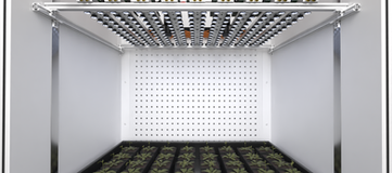 Dynamic Environment Photosynthesis Imager (DEPI) | PhotosynQ