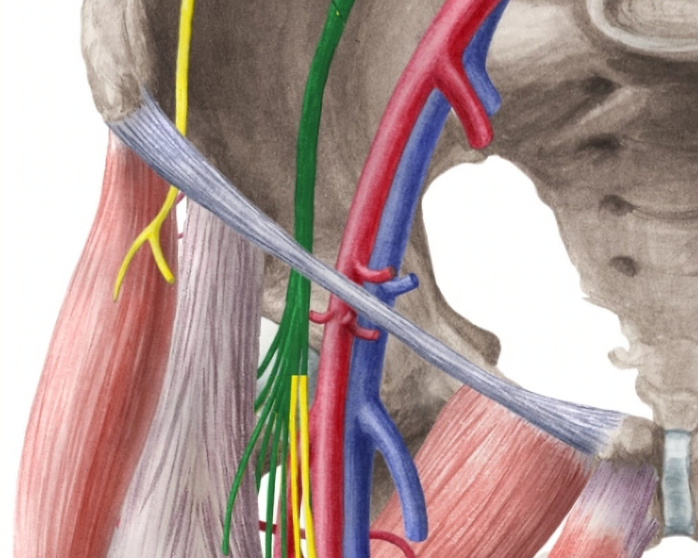 Understanding the Differences: PENG Block vs. LFCN Block in Regional ...