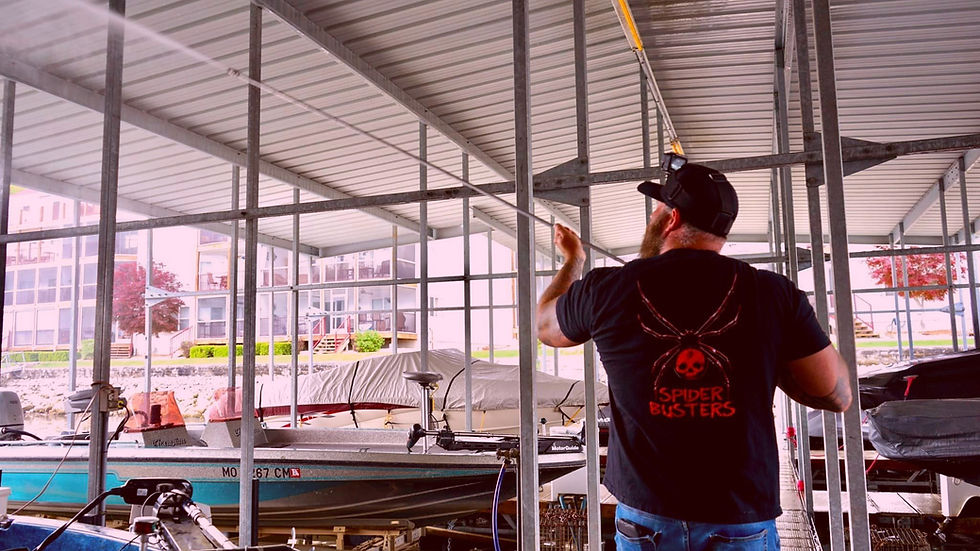 Pest Control | Spider Busters, Llc.