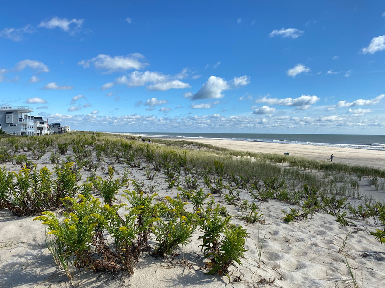 Home | LBI Coalition for Wind Without Impact